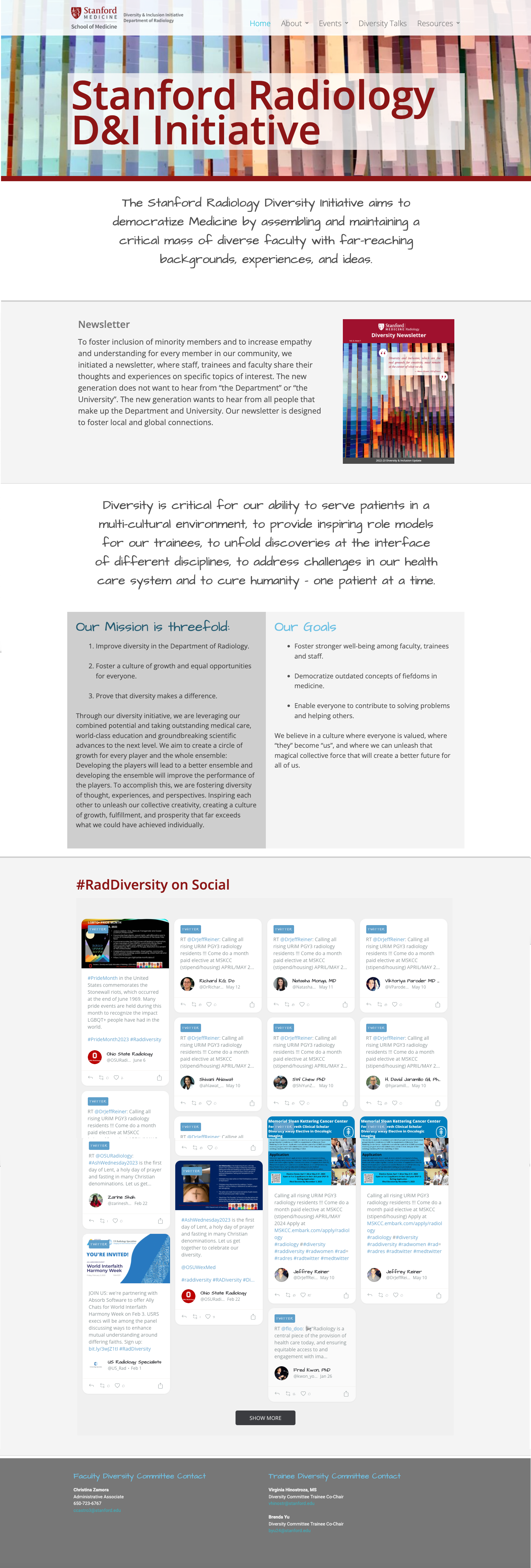 Diversity Initiative Website - Amy Thomas, Web Designer and Graphic ...
